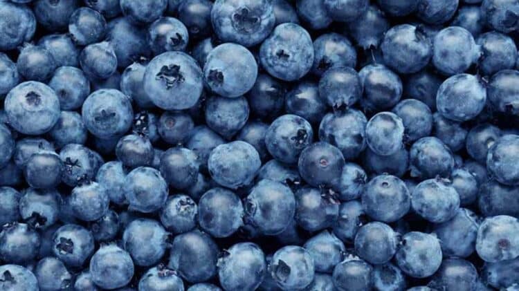 Blue Day Celebration: Fun Activities and Creative Ideas – Sofia Public ...